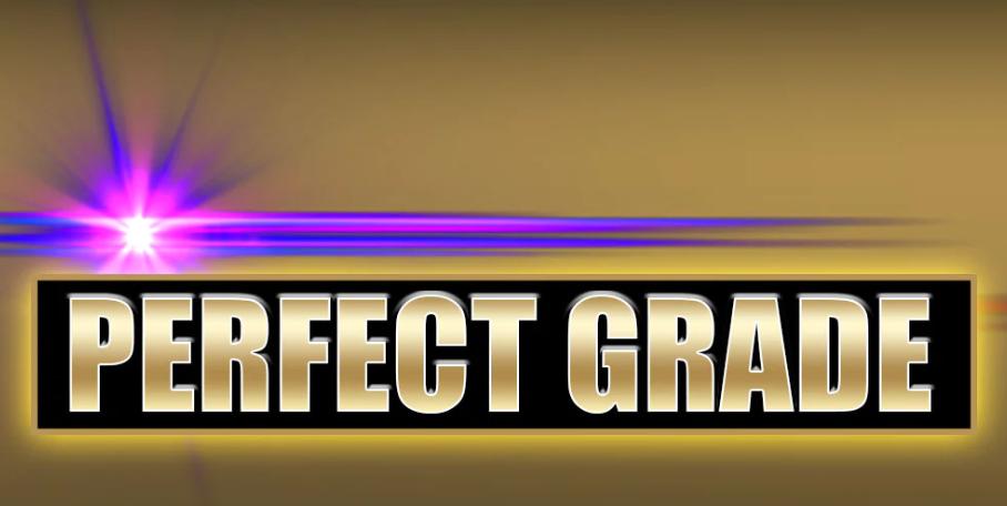 Gundam PG (Perfect Grade) – Gamers Village